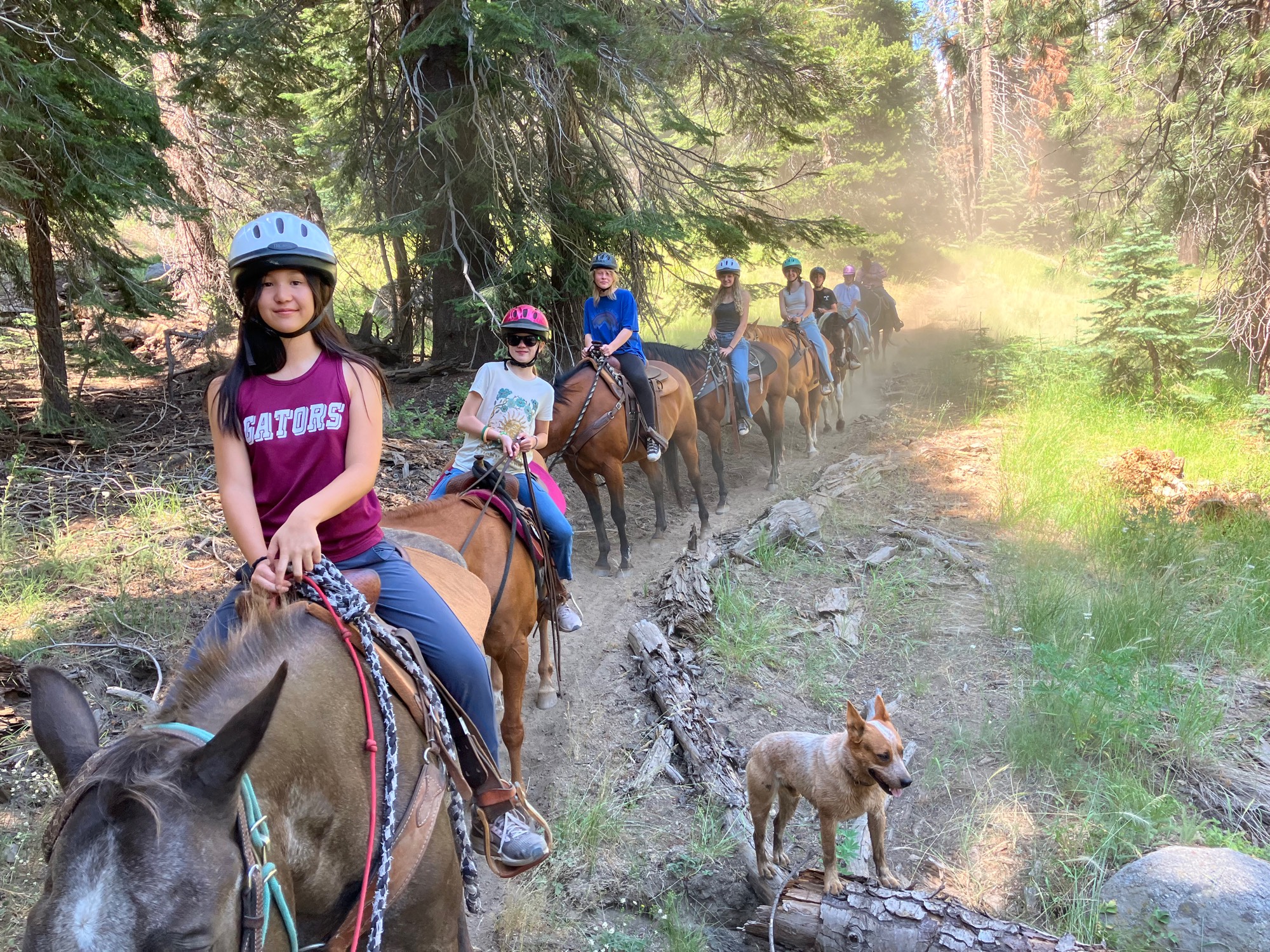 Interacting with Animals: The Benefits for Kids and Teens - Kennolyn Camps